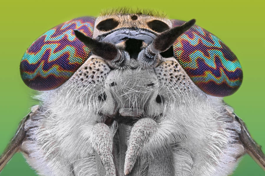 K95.5 Listen Live - KITX, 95.5 MHz FM, Hugo, United States | Online ...