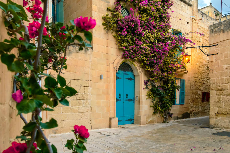 KFAN AM 1270 Listen Live - Rochester, United States | Online Radio Box