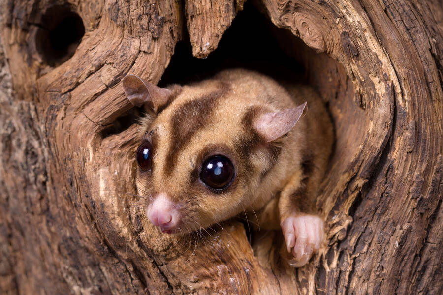 KGFW Listen Live - 1340 kHz AM, Kearney, United States | Online Radio Box