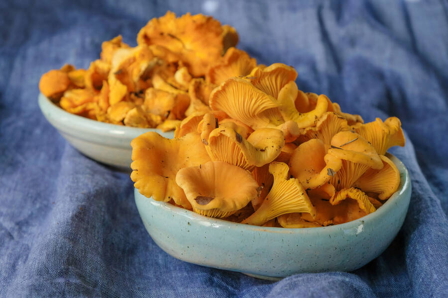 Listen to Edmonton radio stations online - best Edmonton music for free ...