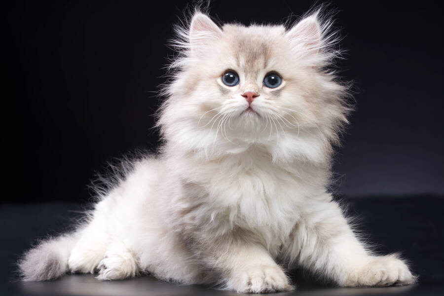 WOCO Radio Listen Live - 107.1 MHz FM, Oconto, United States | Online ...