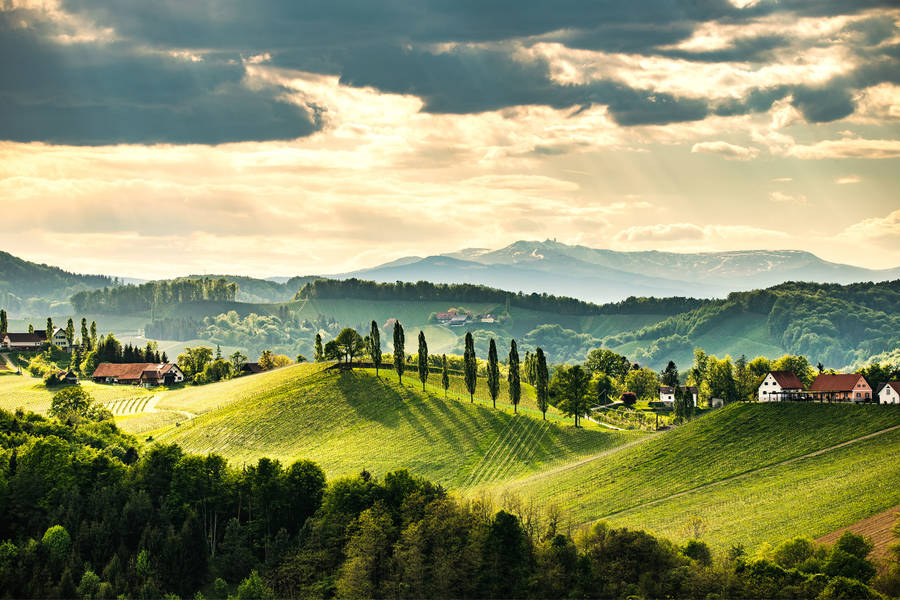 Top 10 Makompo Hits - Limpopo Lifestyle HD Radio | Online Radio Box