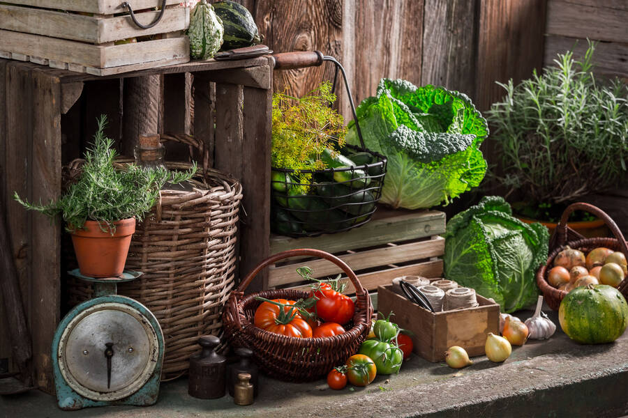 WIFC Listen Live - 95.5 MHz FM, Wausau, United States | Online Radio Box